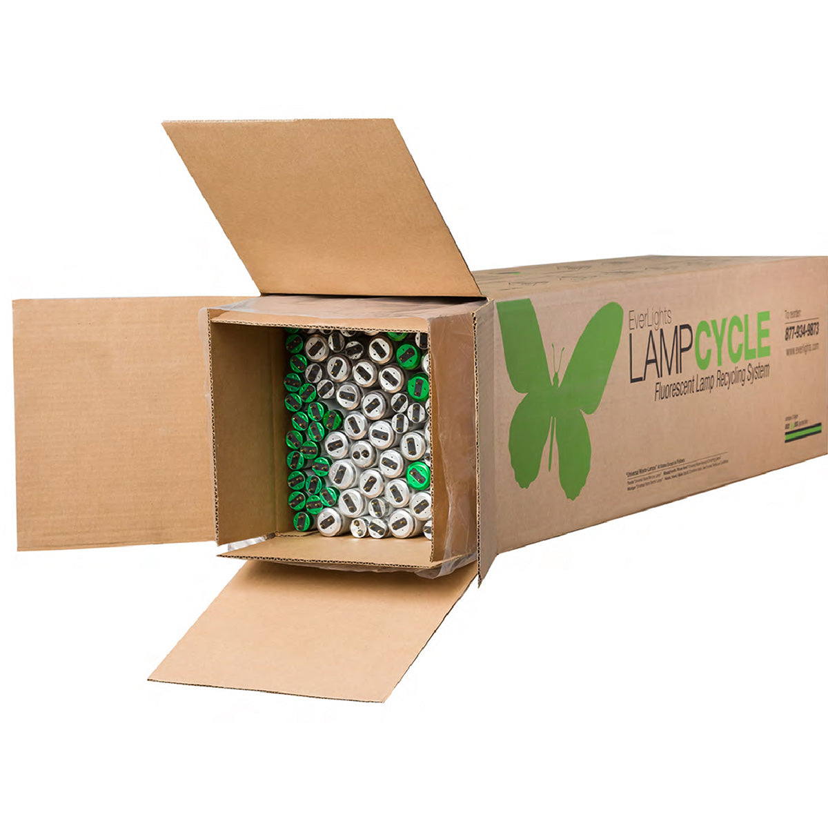 EverLights Recycling - 9003021 - 4` Shattershield LampCycle - Large (5 ...